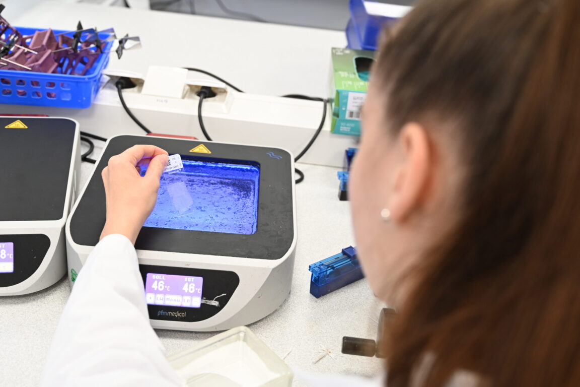 "laboklin log in" : LABOKLIN Bad Kissingen