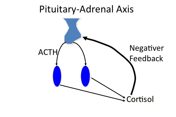 LABOKLIN Bad Kissingen