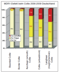 MDR1-Defekt beim Hund : LABOKLIN Bad Kissingen