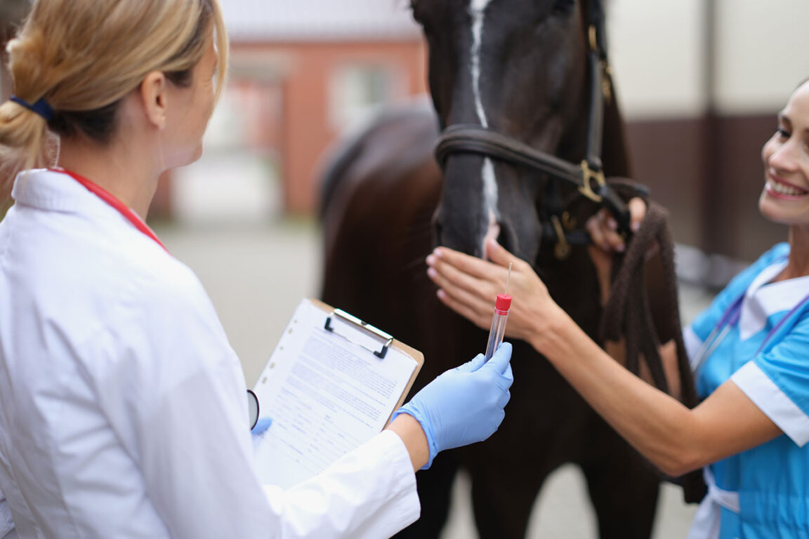 "my laboklin" : LABOKLIN Bad Kissingen