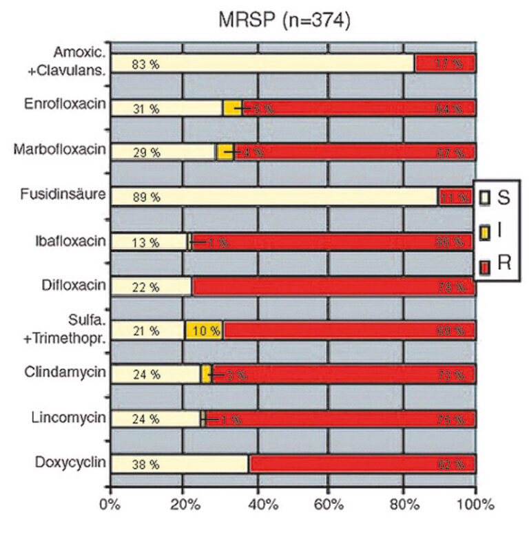Multi Resistente Keime -Therapieansätze
