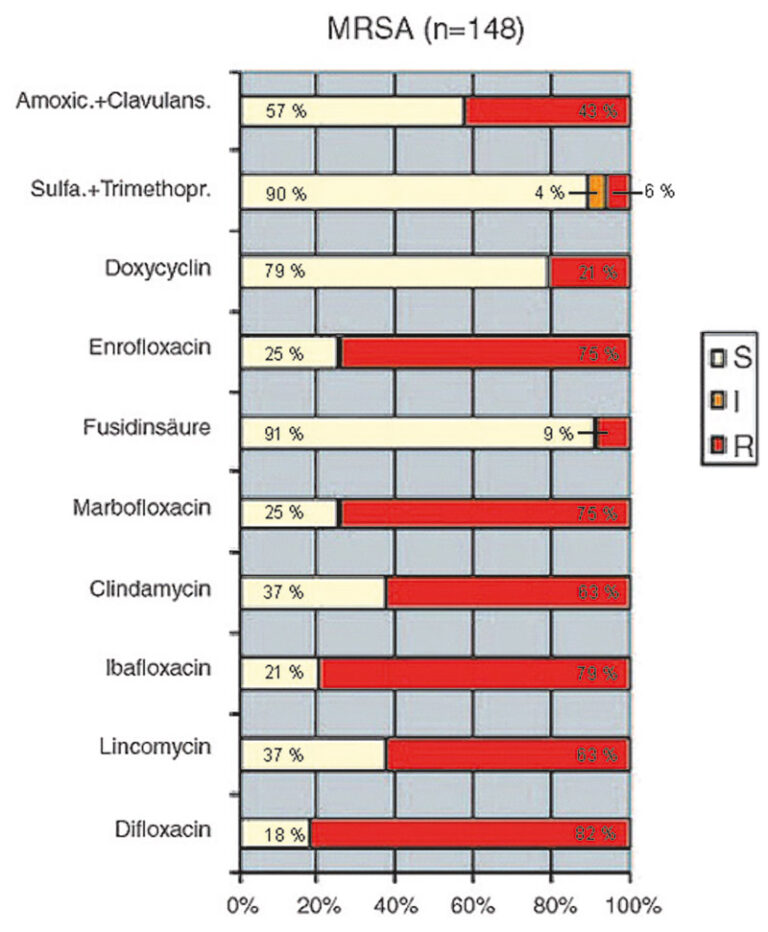 Multi Resistente Keime -Therapieansätze