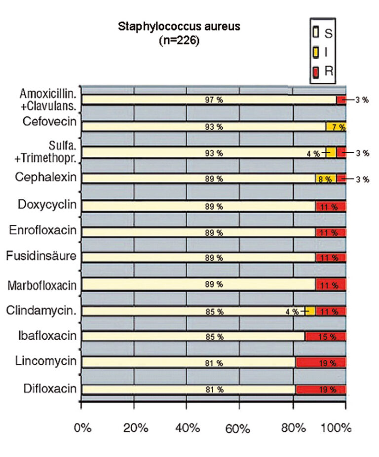 Multi Resistente Keime -Therapieansätze