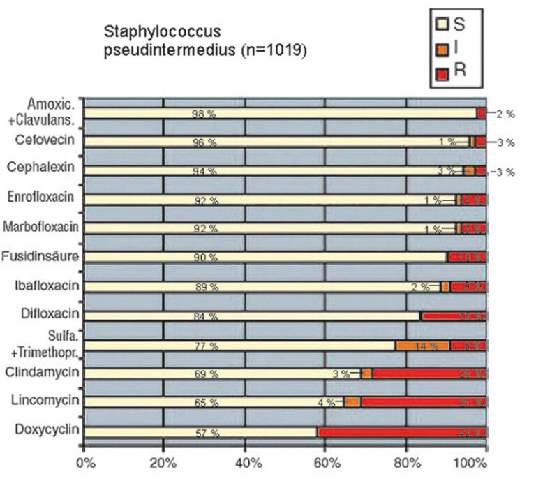 Multi Resistente Keime -Therapieansätze