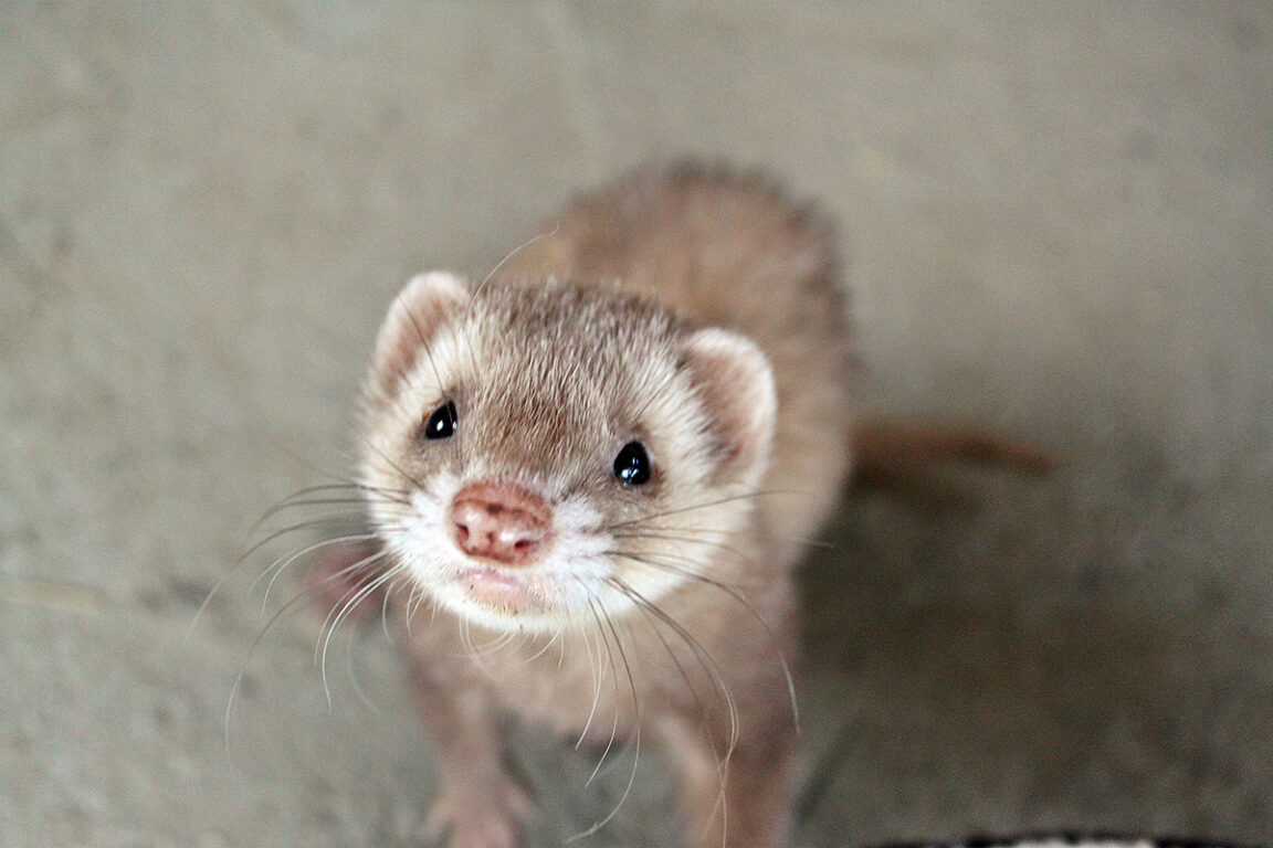 LABOKLIN Bad Kissingen