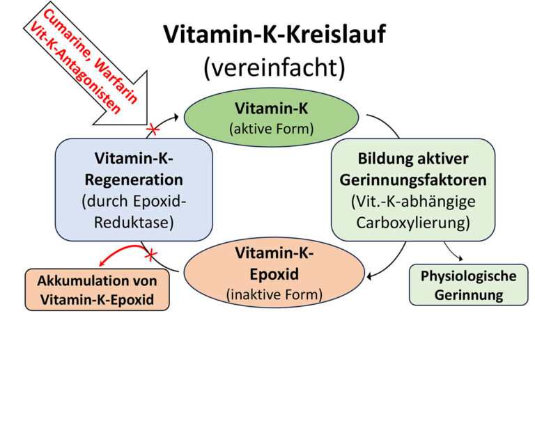 Rattengifte (Rodentizide) – News zur Diagnostik