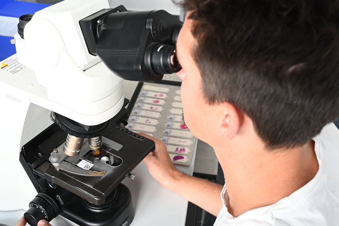 "laboklin log in" : LABOKLIN Bad Kissingen